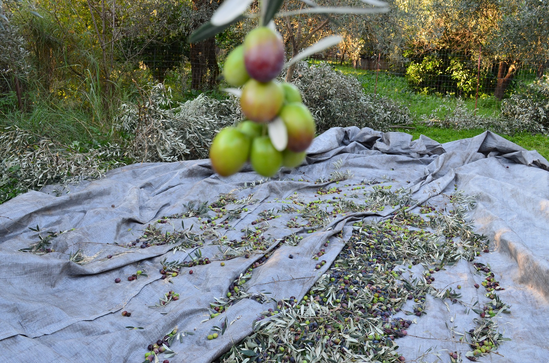 "Θέαση" ...στο κτηματολόγιο