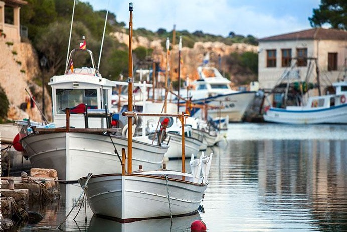 Όσα πρέπει να γνωρίζετε για τον ΕΛΓΑ